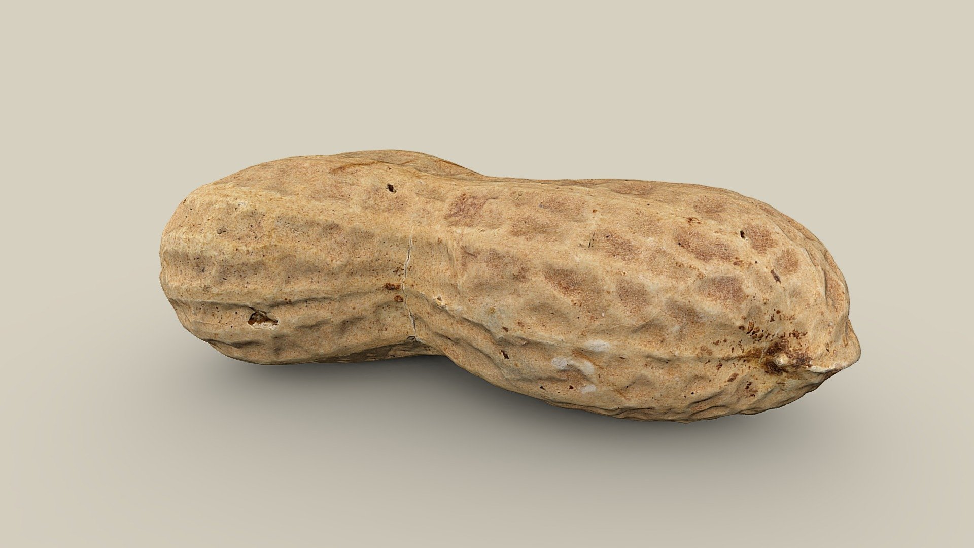 Vegetable shop - Peanut - Buy Royalty Free 3D model by noe-3d.at (@www.noe-3d.at) [723ba76 ...
