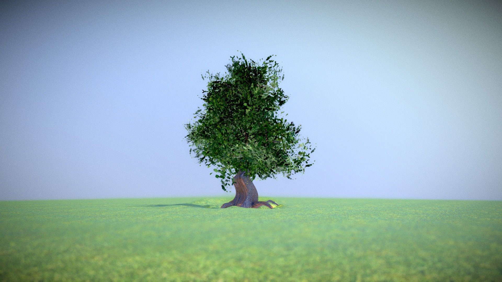 Tree - Download Free 3D model by potokinao83 [7241a66] - Sketchfab