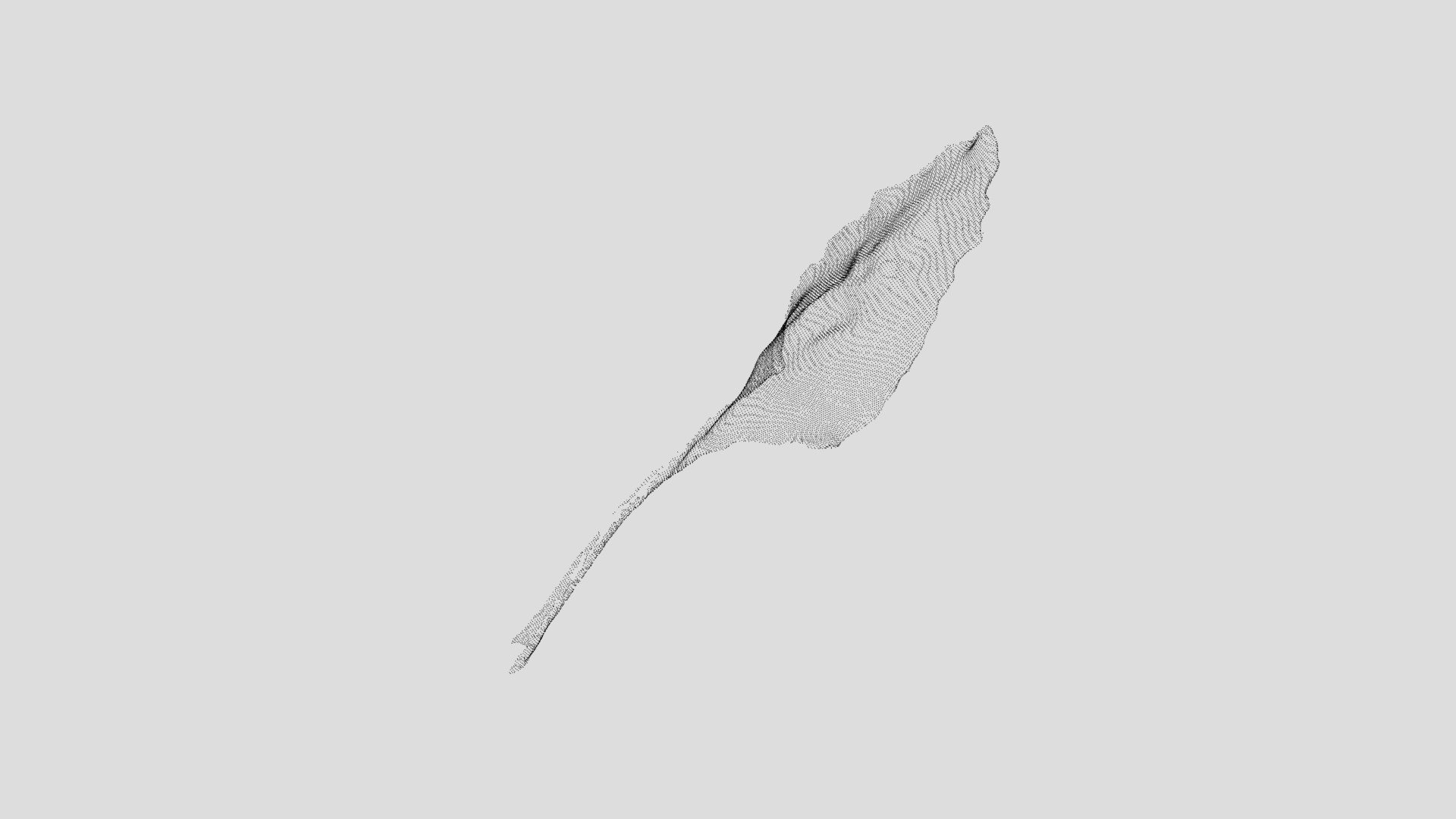 Leaf 05 Point Cloud - Download Free 3D model by GigaScience (@GigaDB ...