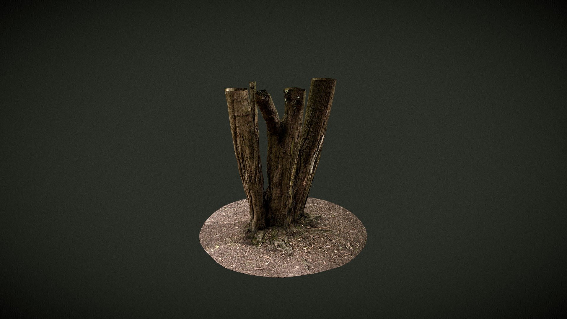 Photogrammetry tree - Download Free 3D model by andrewkingdev [72470ed ...