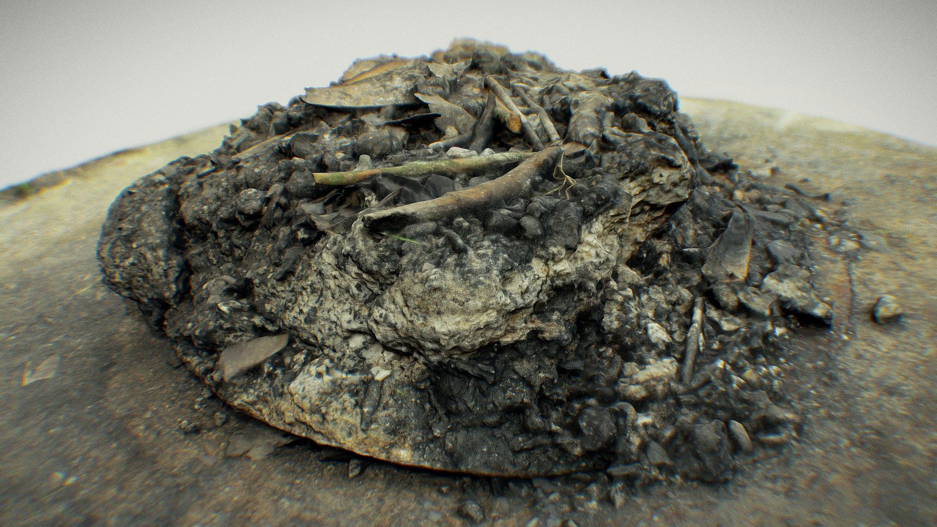 Wood Ashes - RAW Photoscan - Download Free 3D model by majedhd [7249dba ...