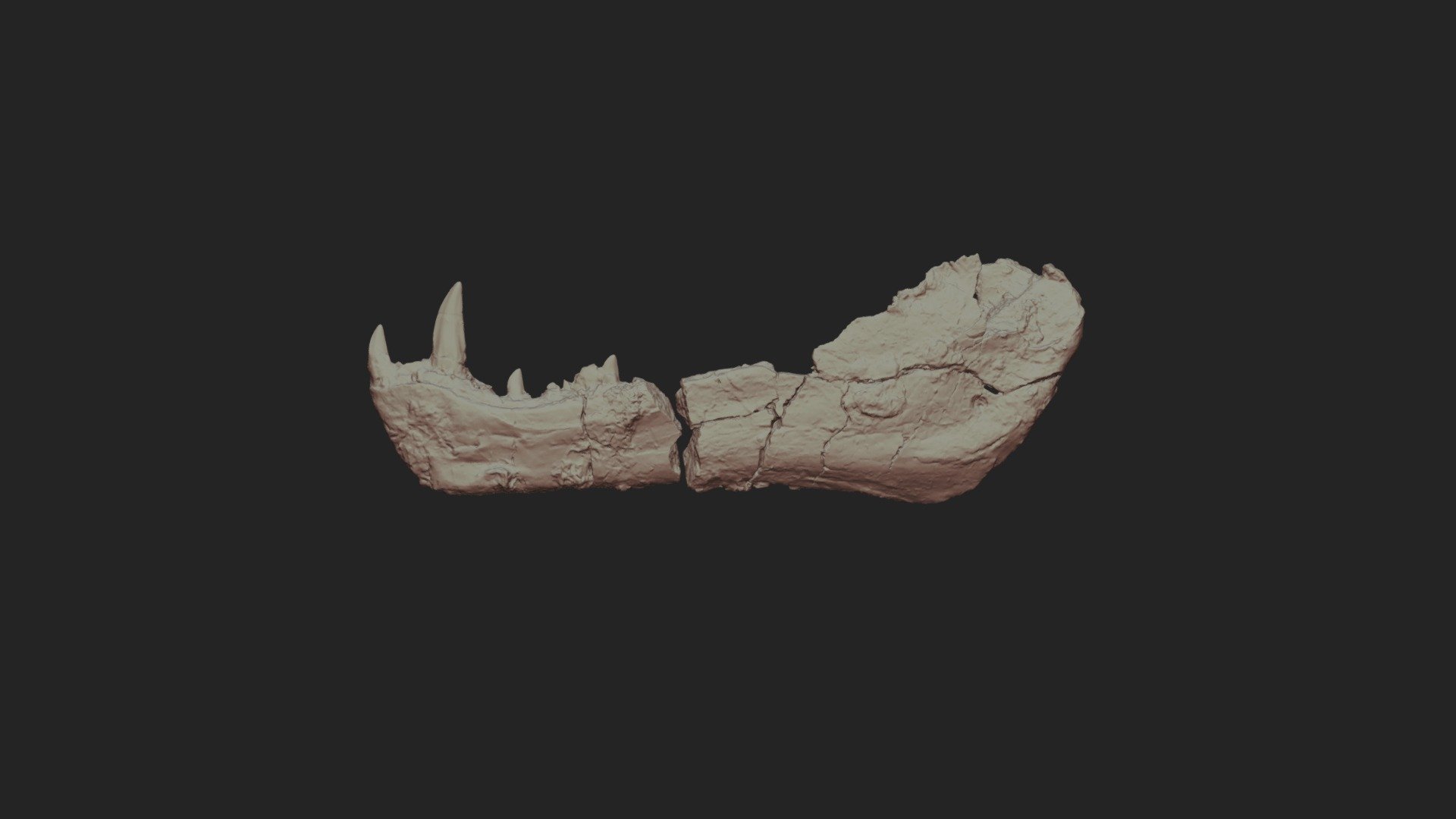 darlene Jaw combined decimated - 3D model by Idaho Virtualization ...