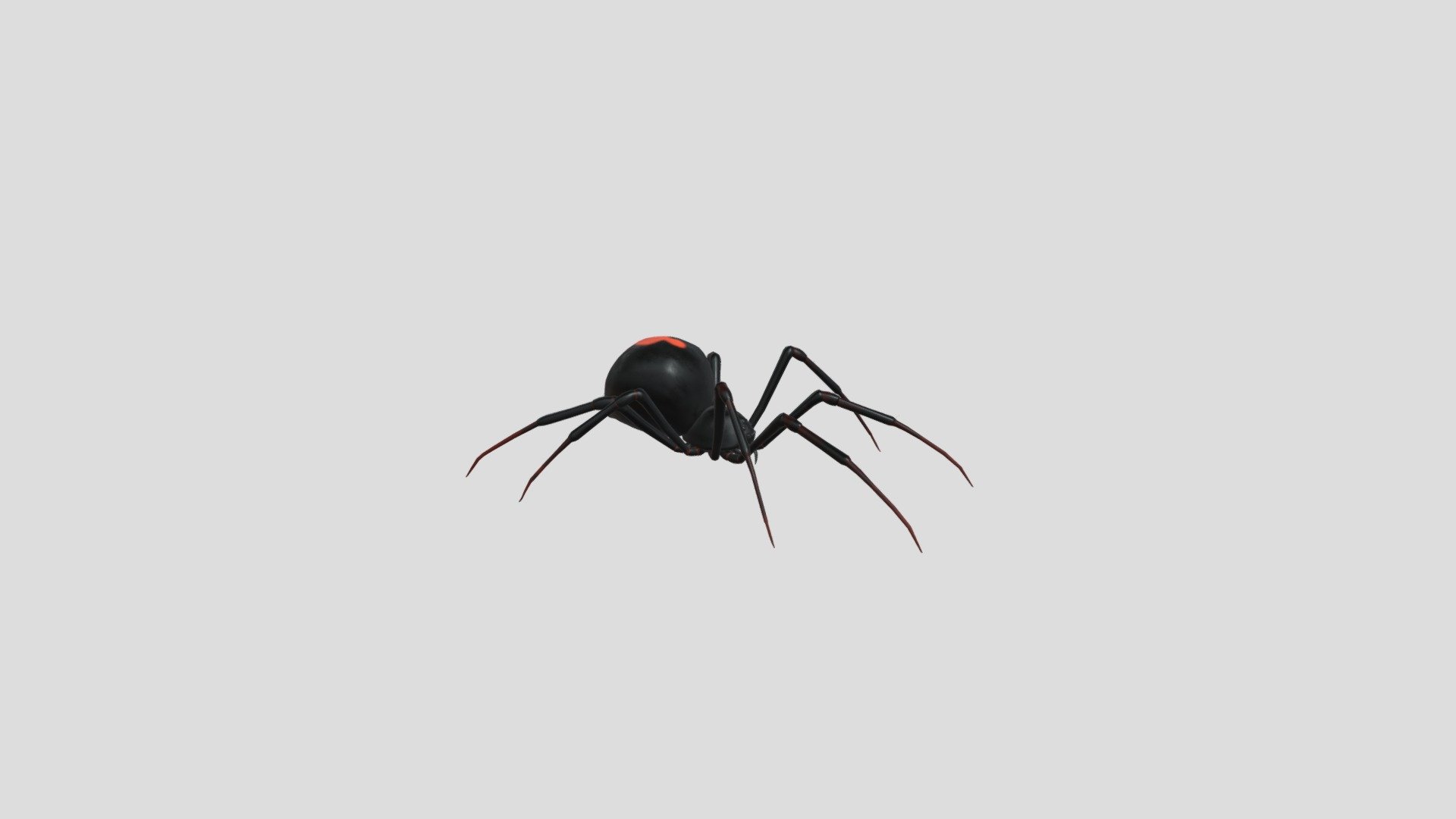 Spider - 3D model by ButterBrain [7274b73] - Sketchfab