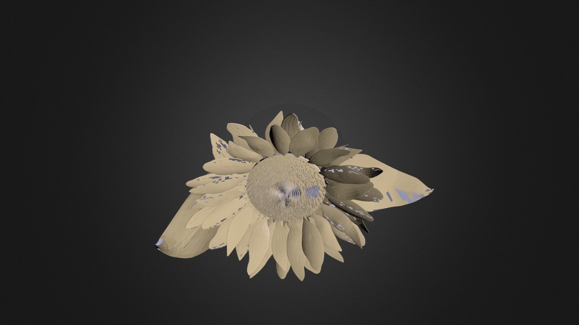 SunFlower - 3D model by sunny.jspm [72790f5] - Sketchfab
