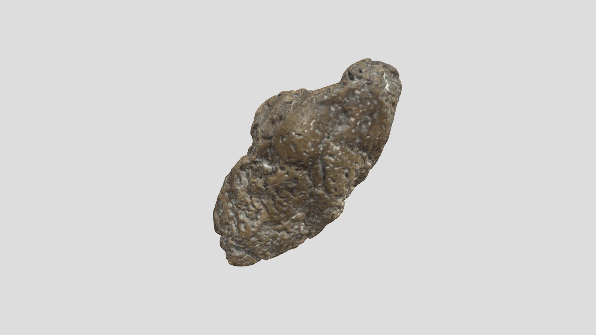 Coprolite - Download Free 3D model by UIPaleoRepository [727da8c ...