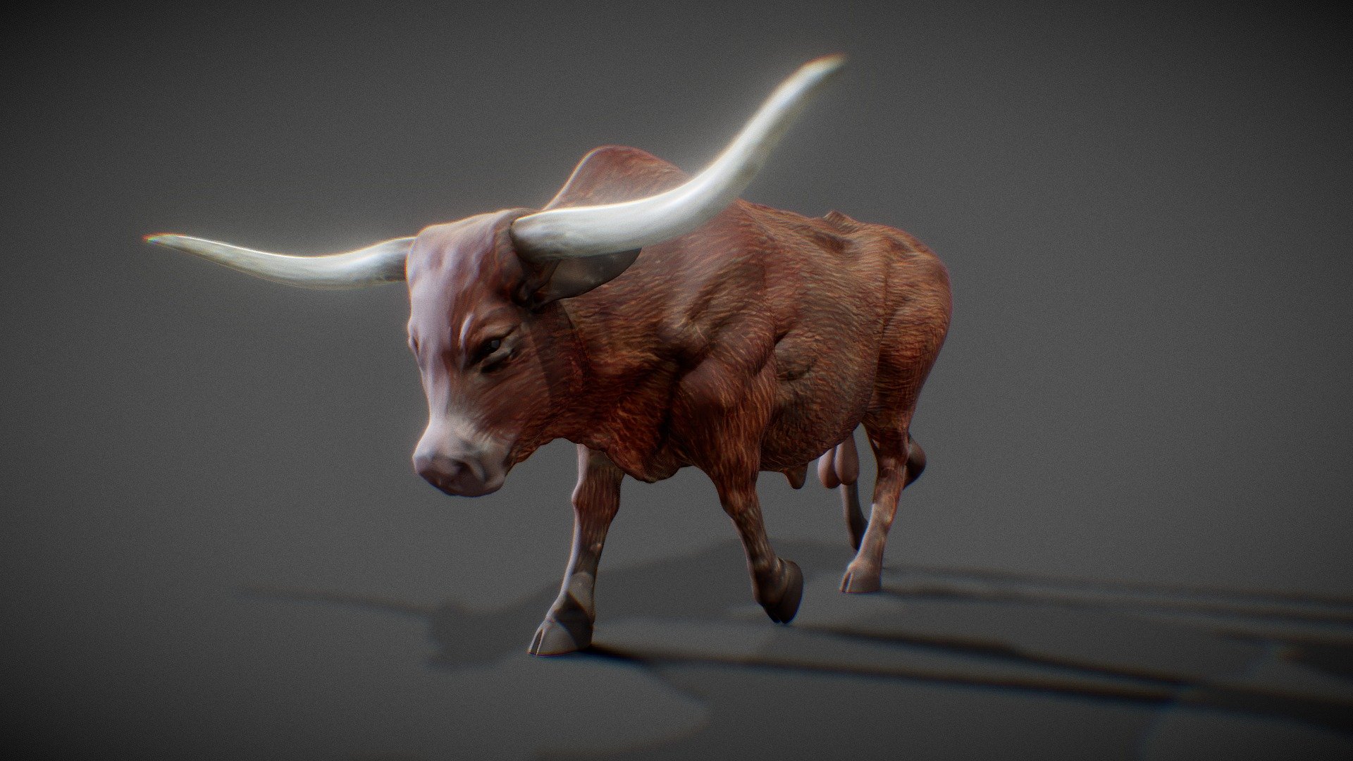 Texas Longhorn by CMW - Buy Royalty Free 3D model by CMW (@CMWCREATIVE ...