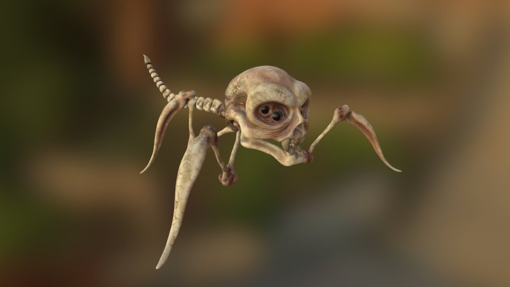 Skull bug - 3D model by emra1000 [72867f3] - Sketchfab