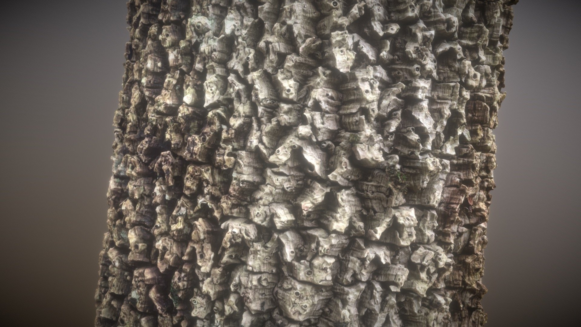 RealityScan - Palm Trunk - Download Free 3D model by Prototype:0.rang.E ...