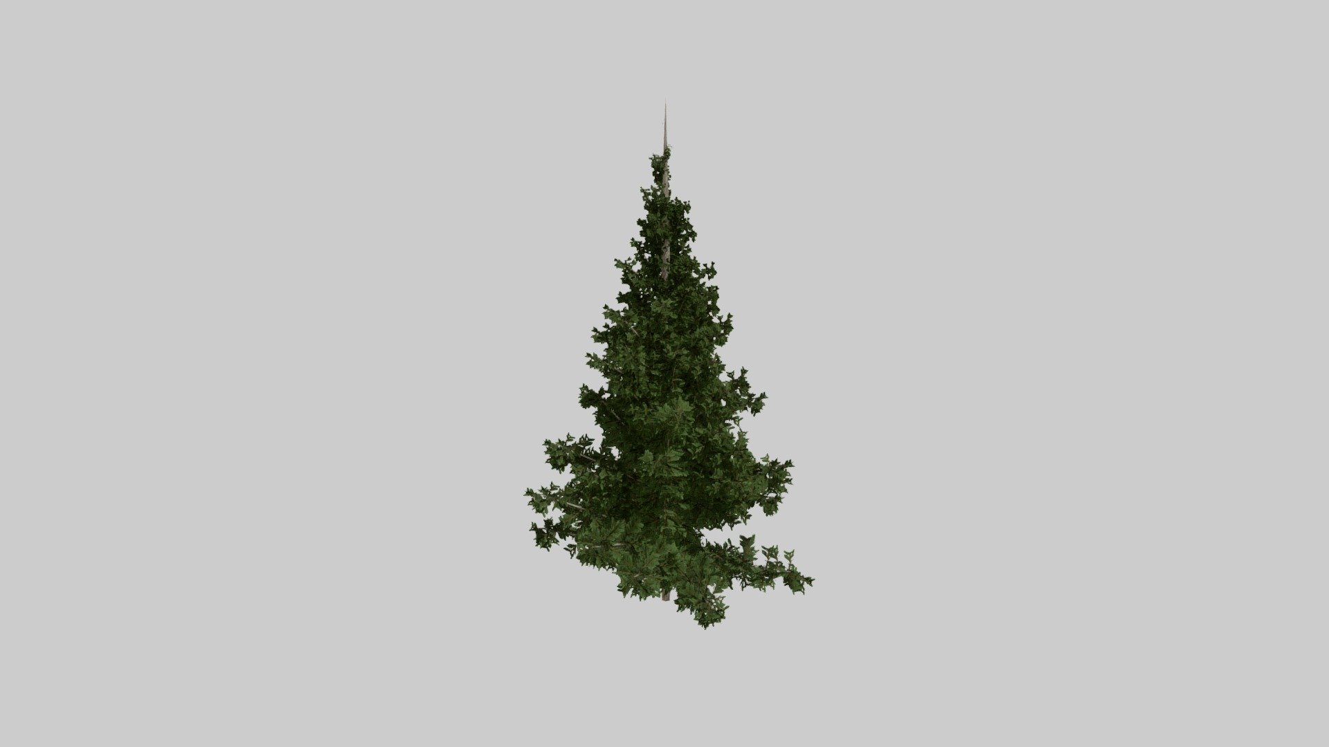 Pine Tree 02 - Download Free 3D model by turmolt [728be0a] - Sketchfab