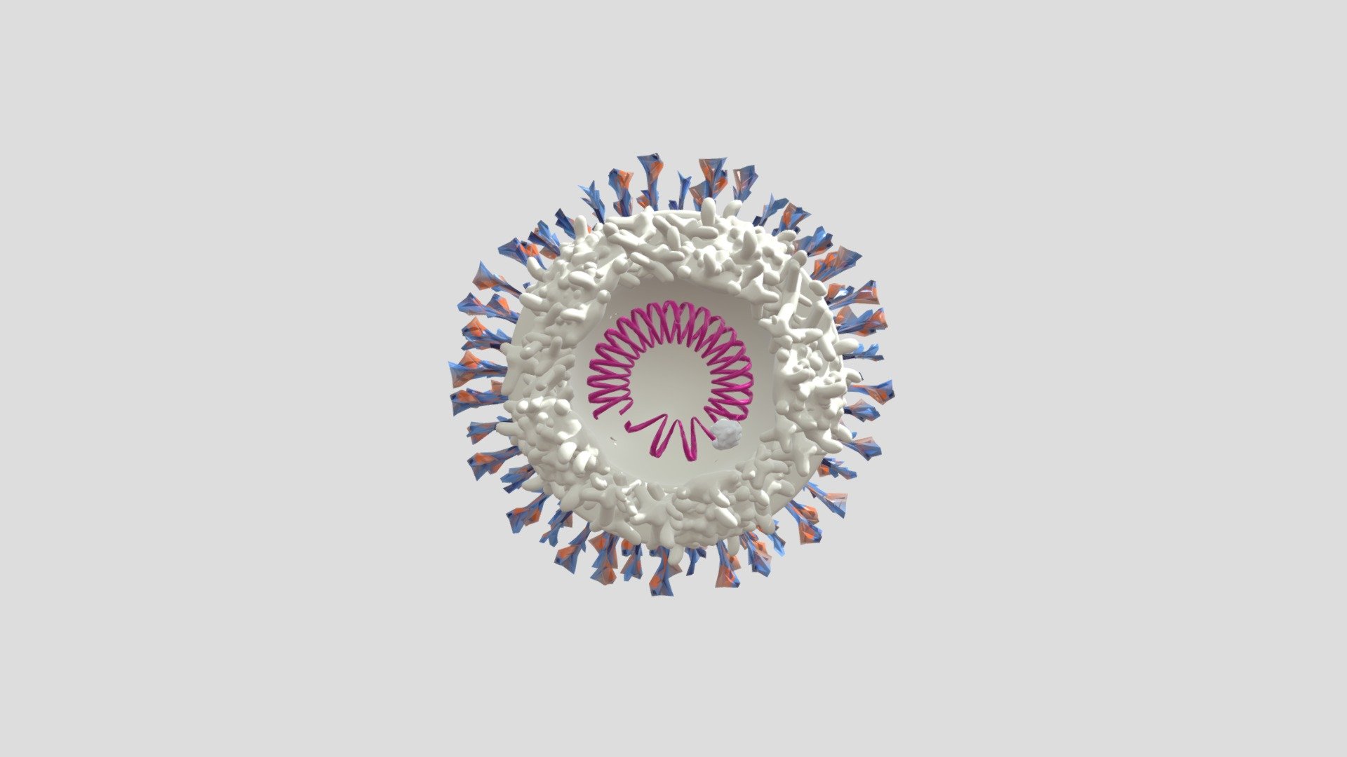 export hep b1 - 3D model by marcolinadesign [7295d7a] - Sketchfab