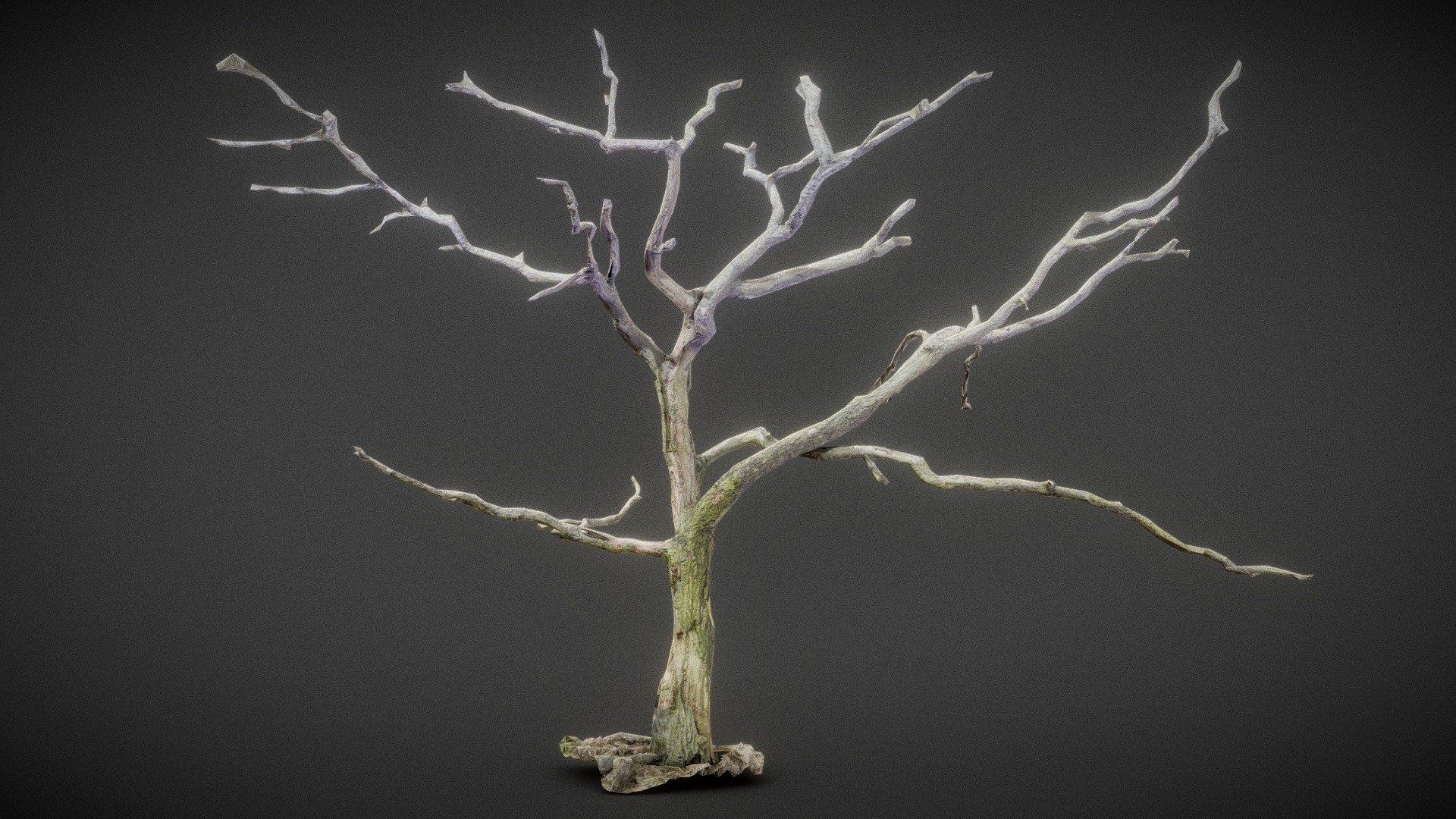 Lonesome Tree - Buy Royalty Free 3D model by Polygonal Miniatures ...