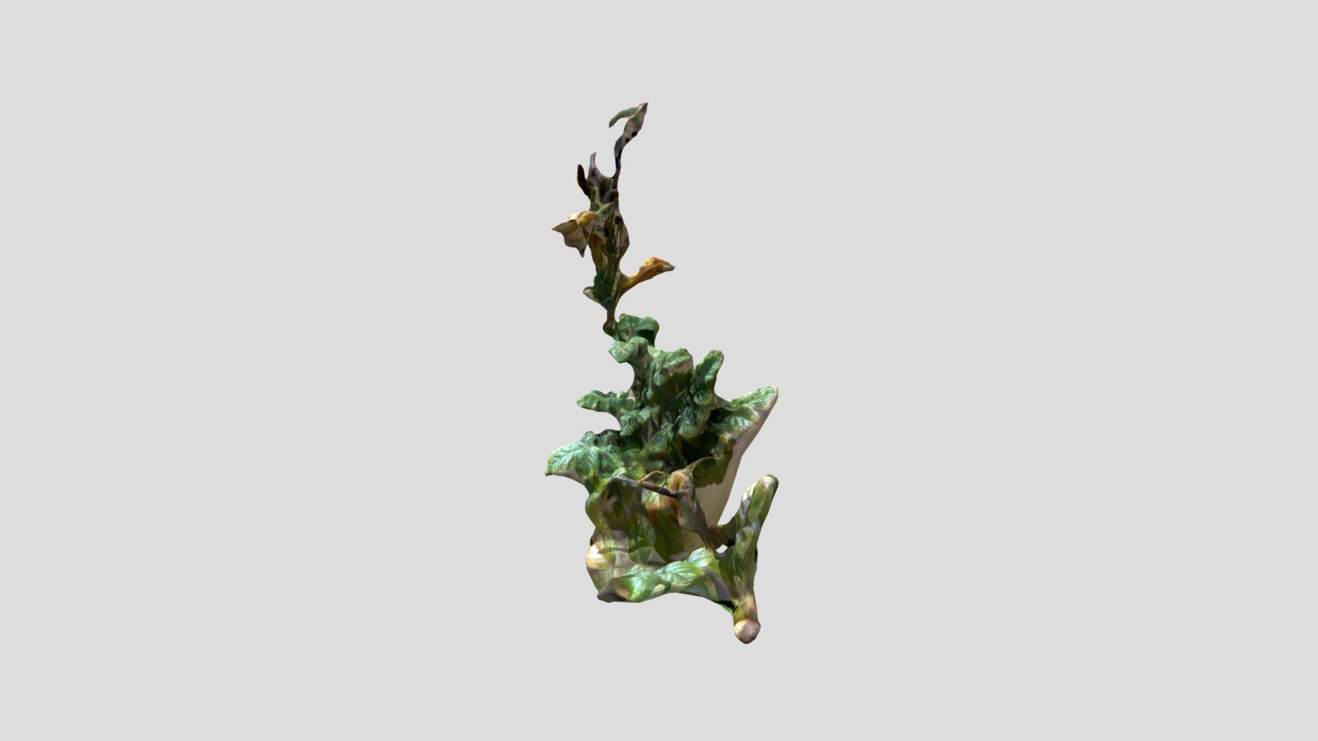 poly - 3D model by Amits12 [72a364e] - Sketchfab