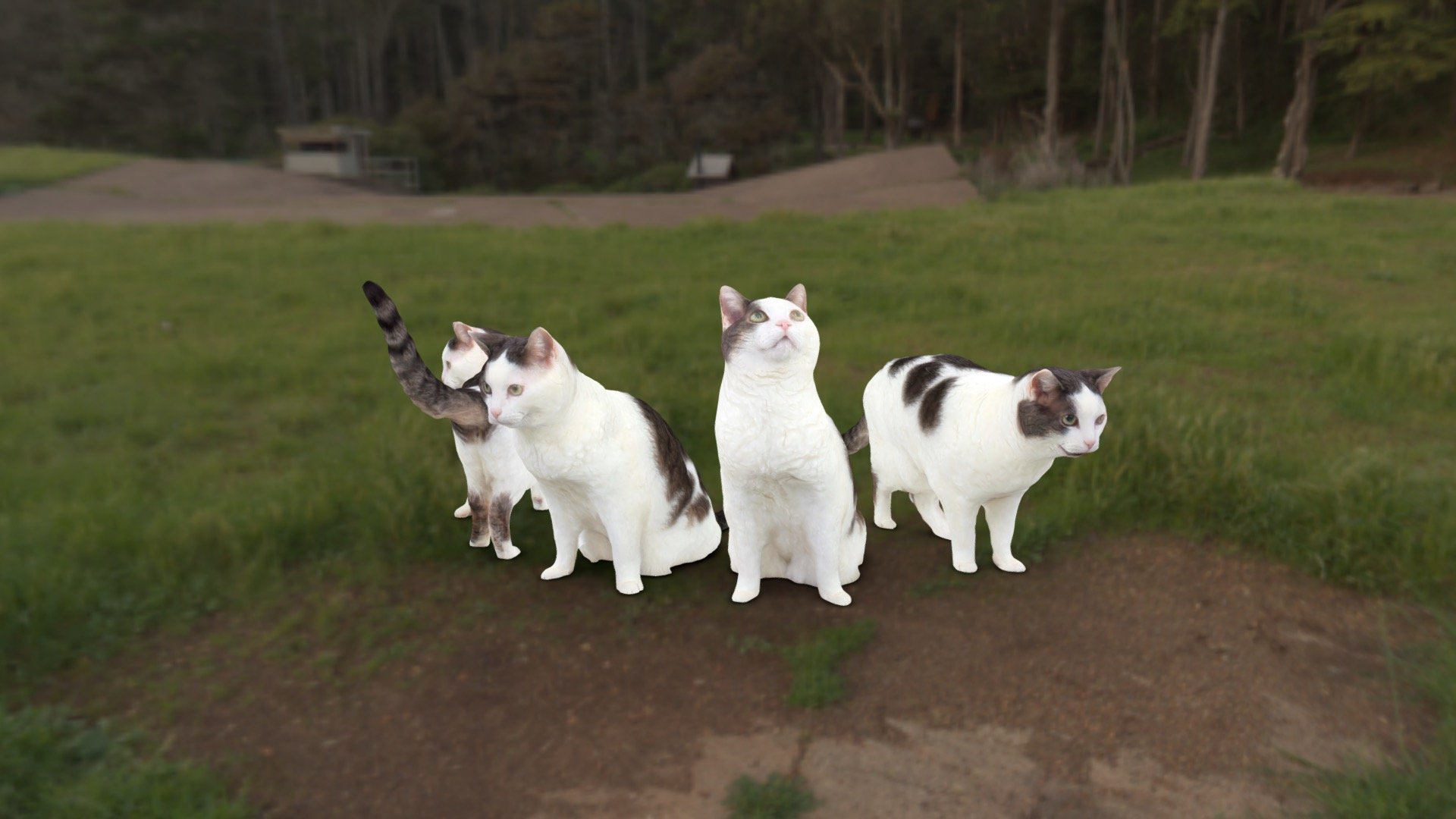 Catscans of Izzy in various poses - 3D model by GravityB [72a43da ...