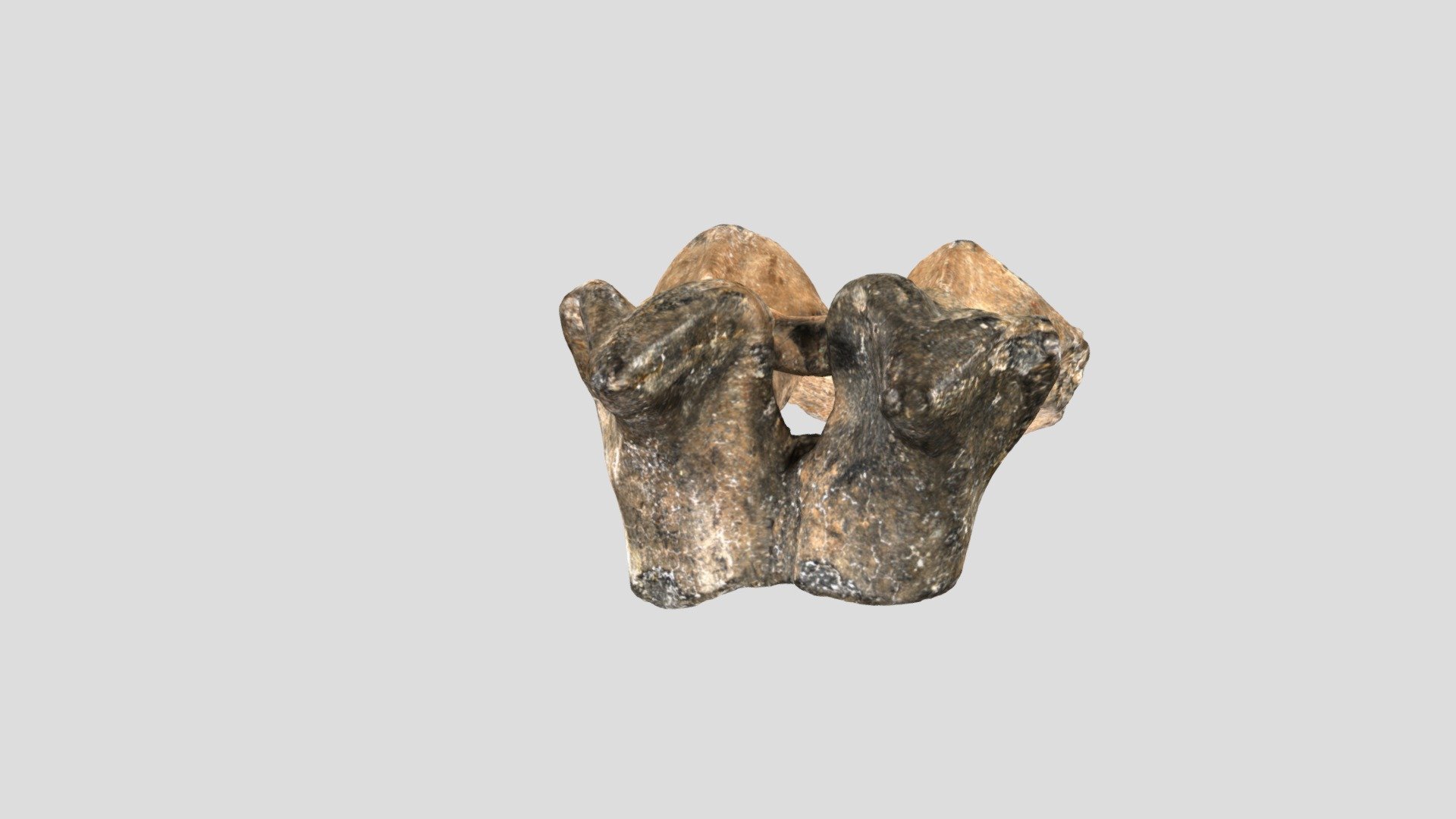 Fragment Ucha Naczynia 679/A/ML - 3D model by Muzeum Narodowe w ...
