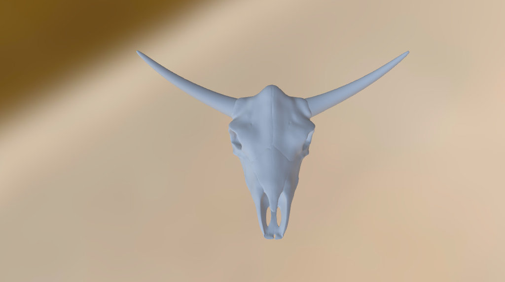 Cow_skull - 3D model by gnuren [72b2980] - Sketchfab