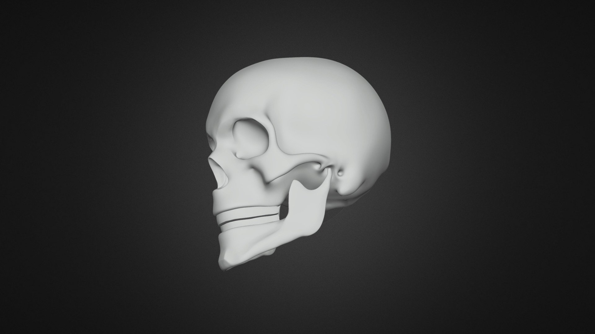 Human Skull Training - 3D model by darkich [72c8406] - Sketchfab