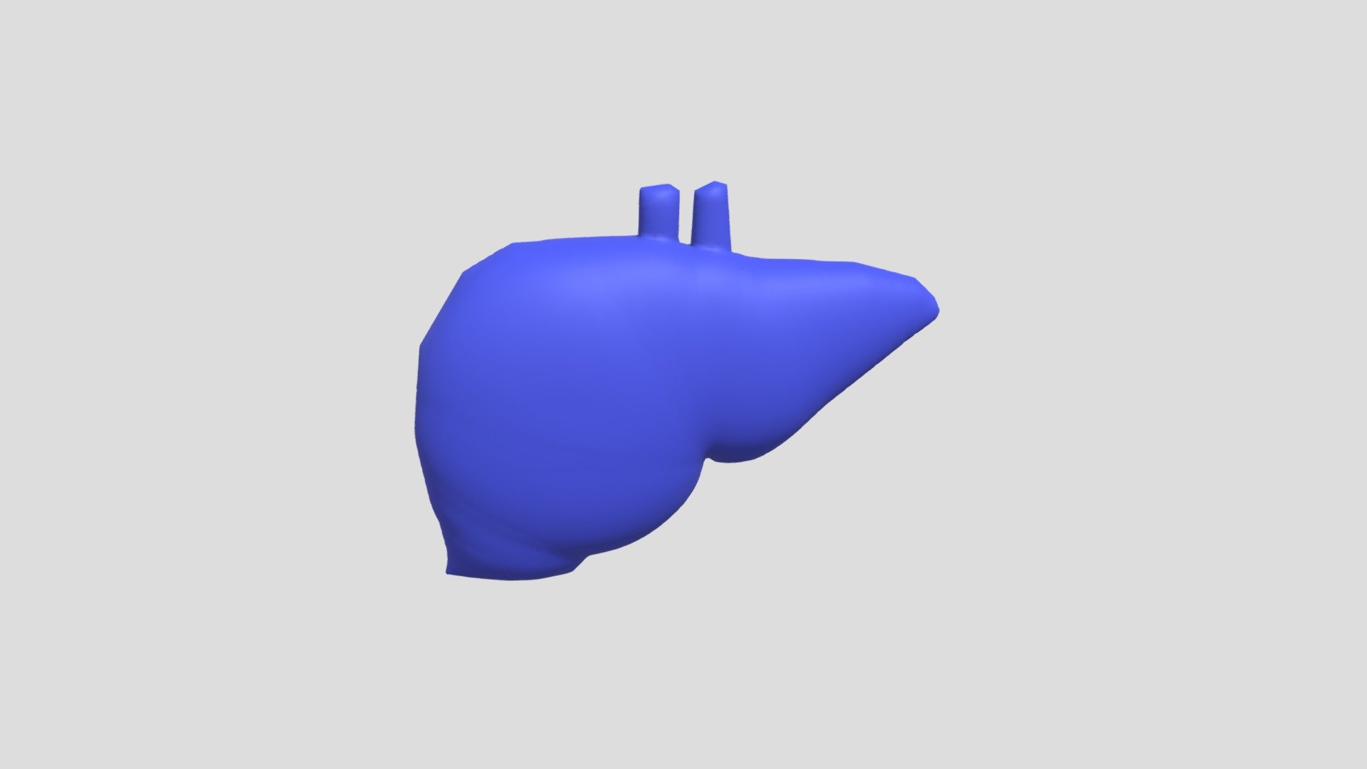 Liver.jpg - Download Free 3D model by ulya13 [72c97bf] - Sketchfab