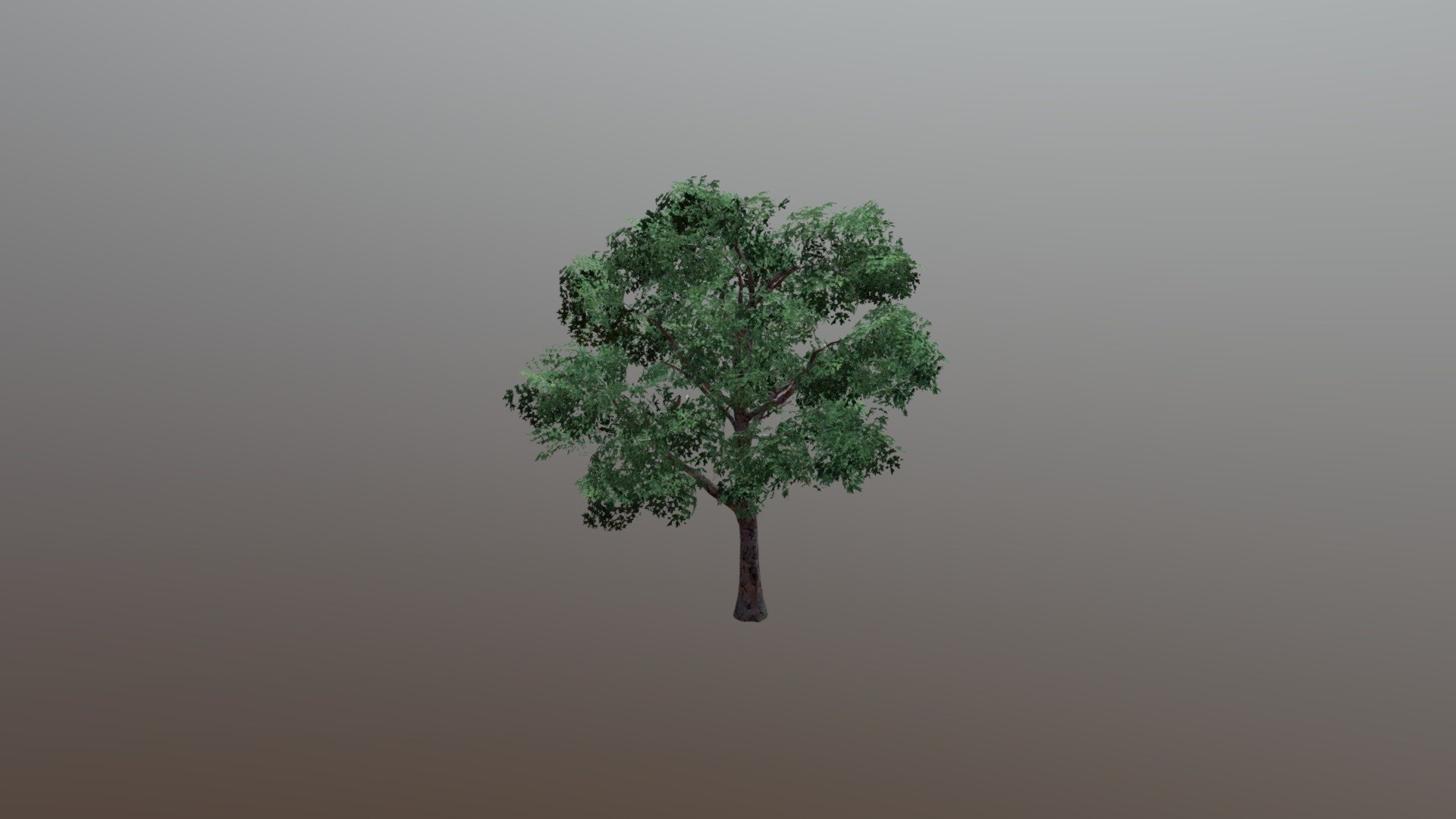Cay 4 - Download Free 3D model by thangtacong [72ca9d5] - Sketchfab