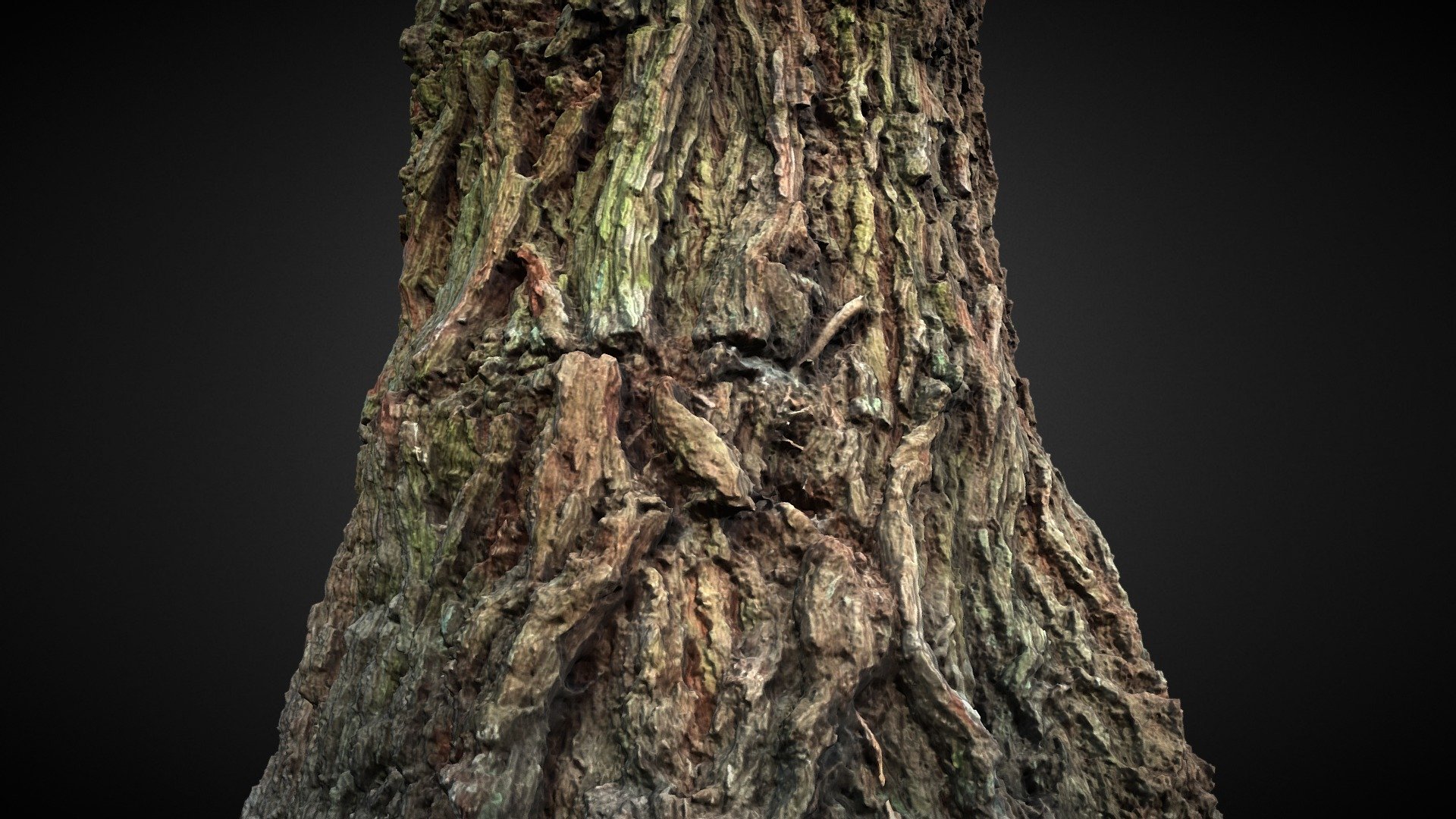 Weird bark - Redwood tree - Download Free 3D model by tomarranskinner ...