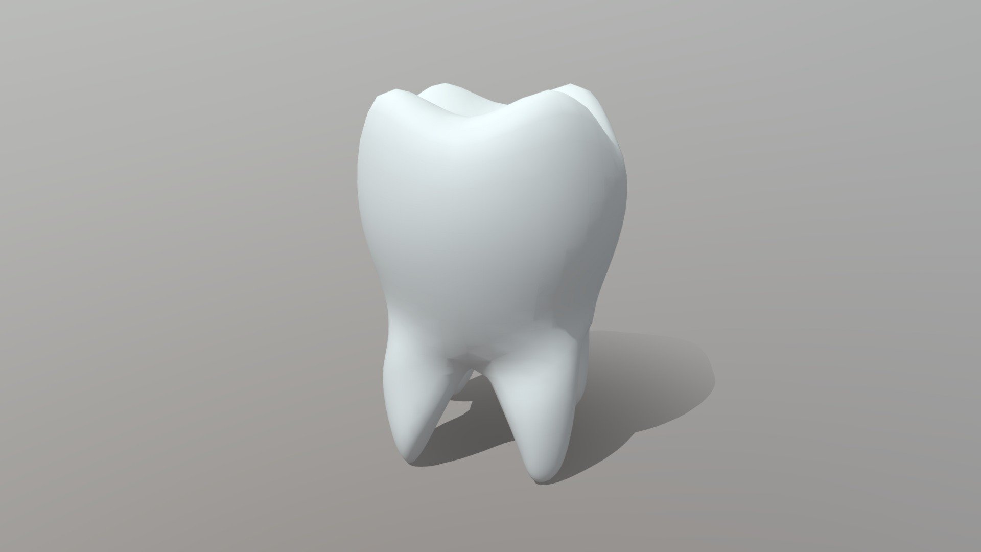 Molar (Tooth) - 3D model by Dejann9120 [72d8851] - Sketchfab