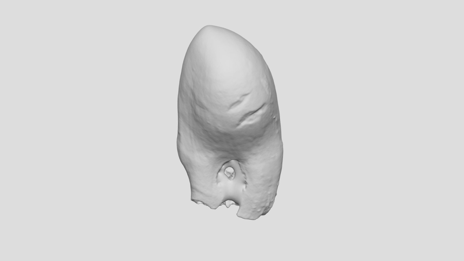 Exp. 50 Perforated - 3D model by Josh.London [72dda74] - Sketchfab