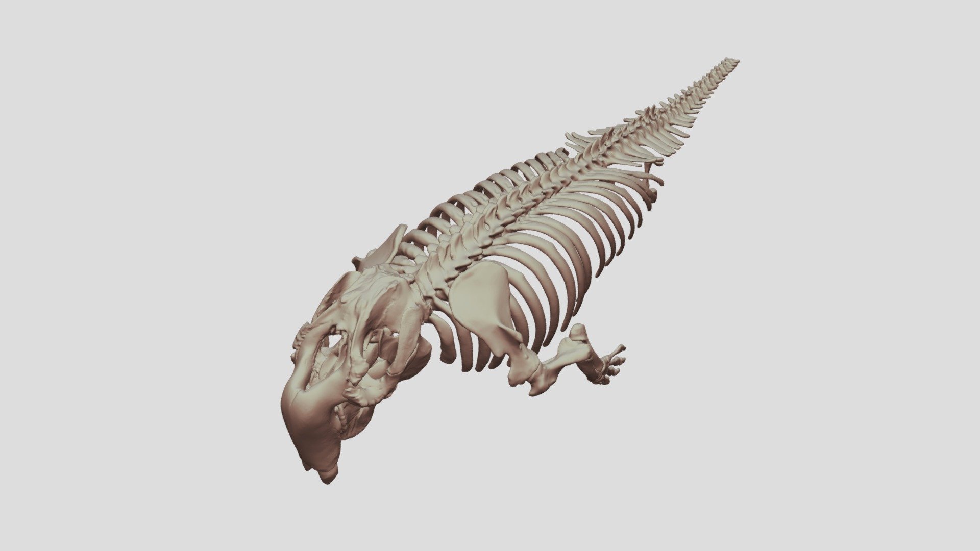 Dugong - 3D model by monostudio [72e11ac] - Sketchfab