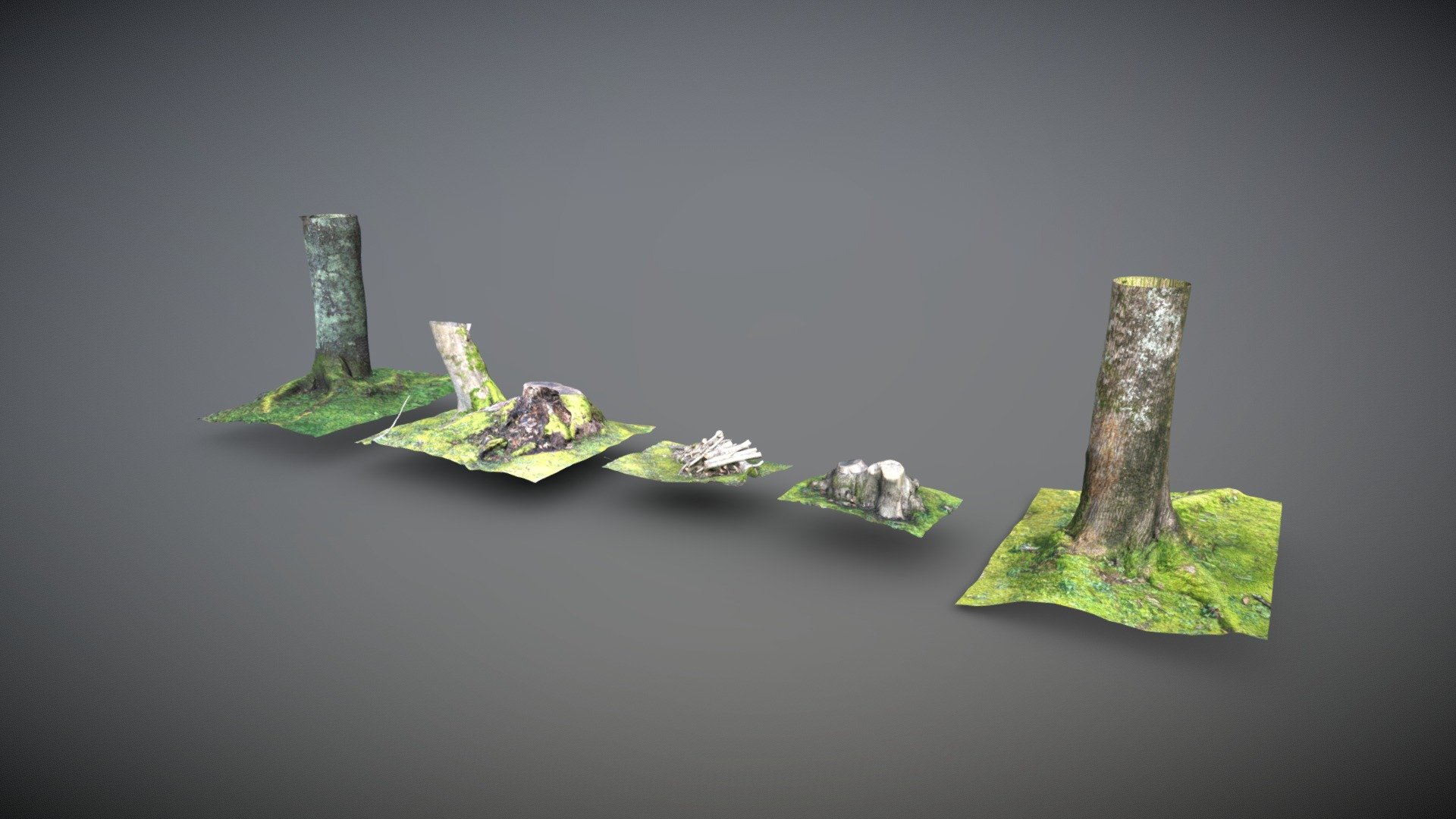 Forest and wood assets pack 01 - Download Free 3D model by IrisProcess ...