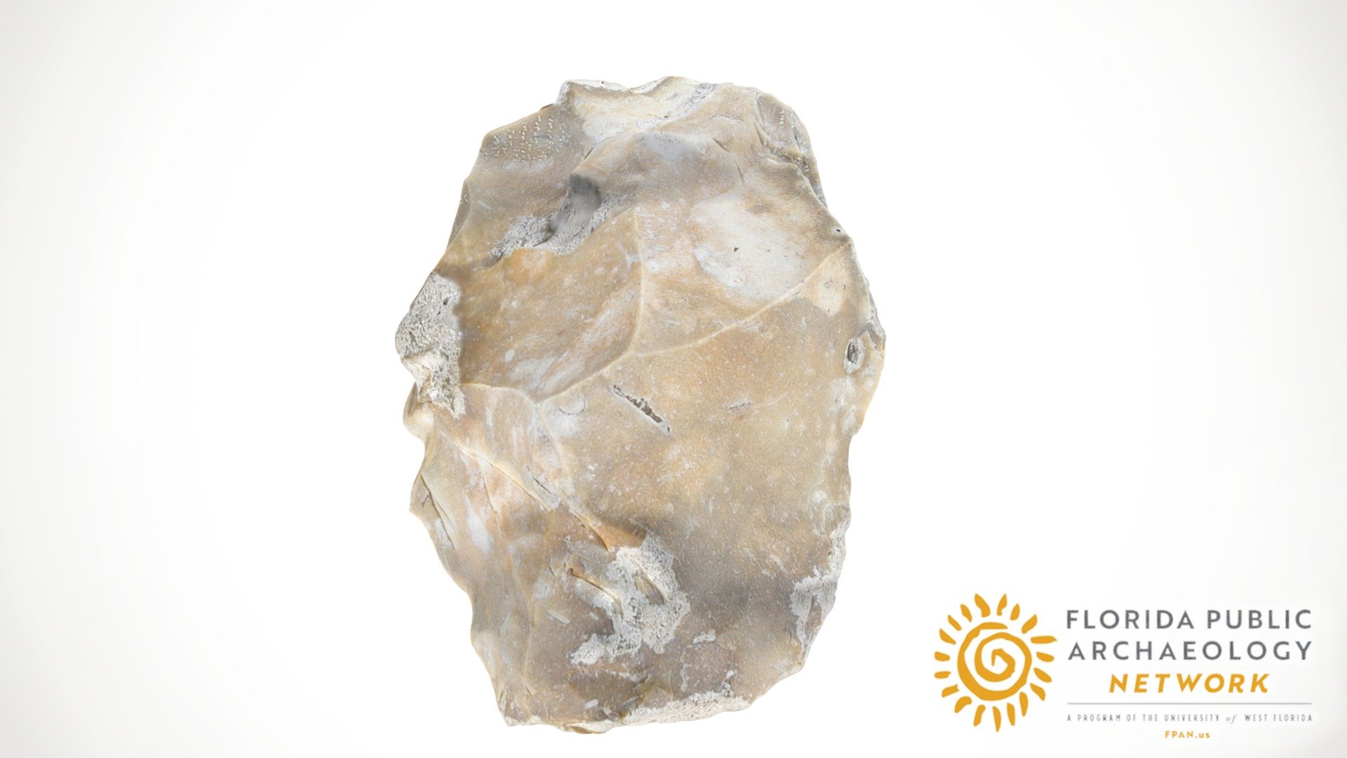 Unprovenienced Chert Core, Florida, U.S. - Download Free 3D model by ...