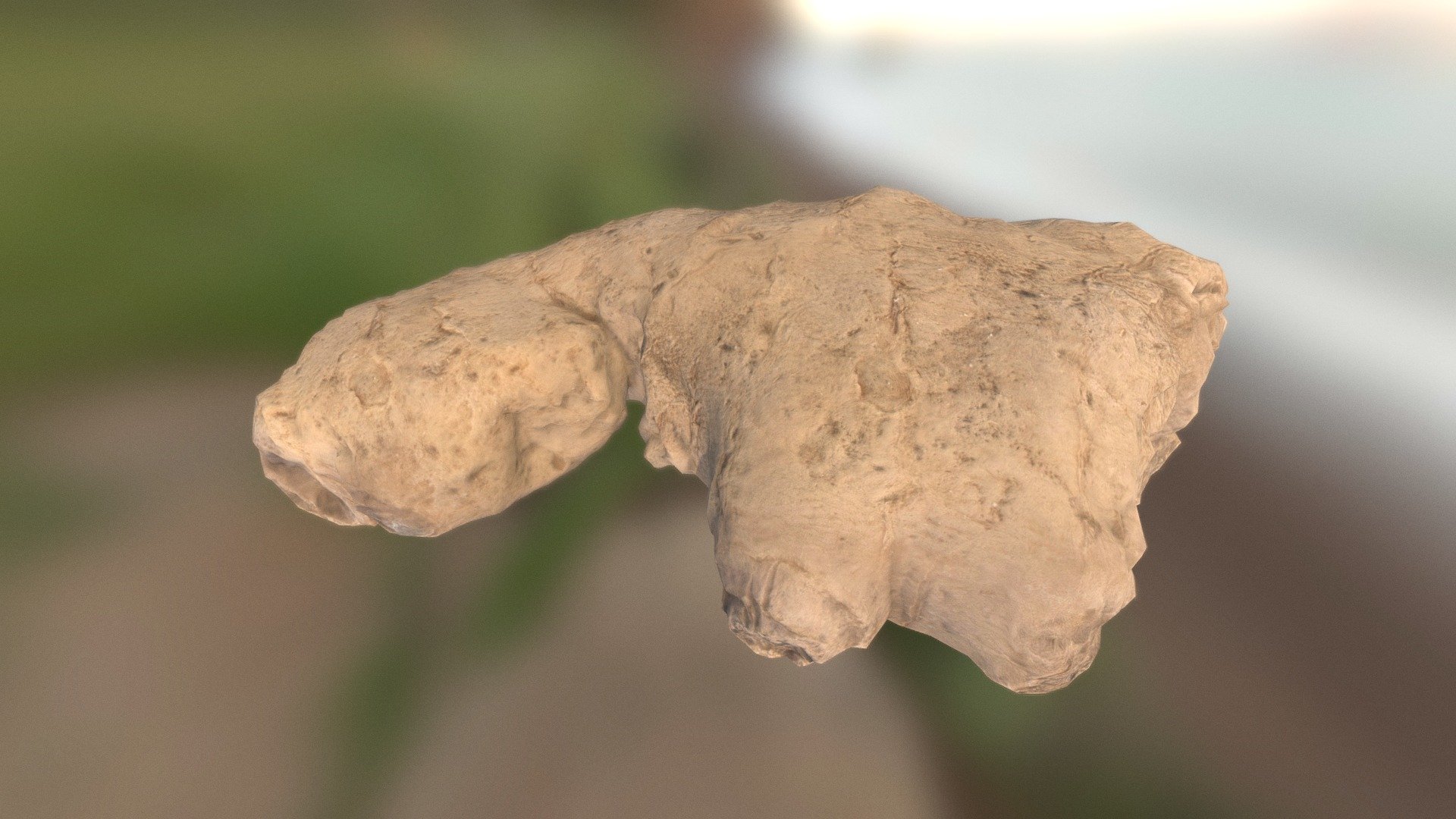 Ginger - Buy Royalty Free 3D model by tomasburan (@tomasburancgi ...