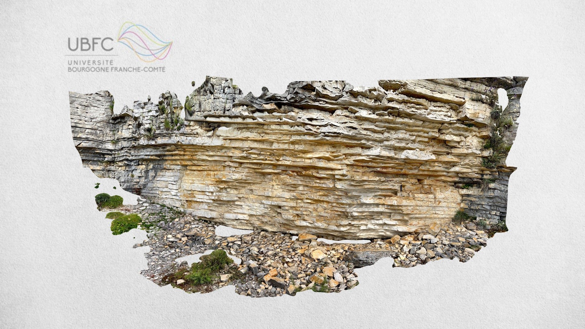 Lithographic Limestone - 3D model by Buoncristiani JF. (@jfbuon ...