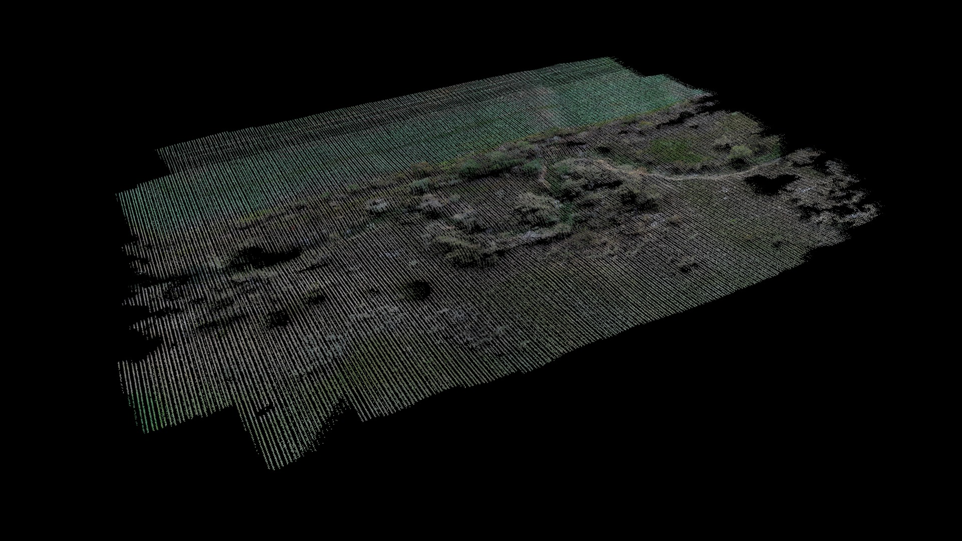 Field - 3D model by Yazid Ninsalam (@yazidninsalam) [72f67e1] - Sketchfab