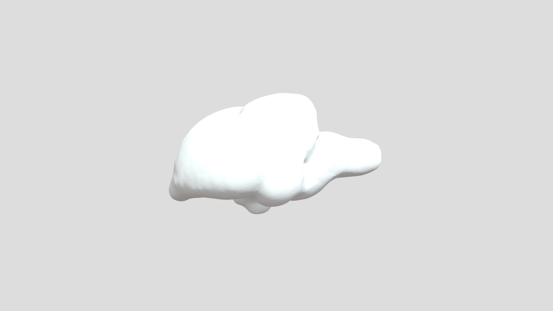 Pigeon_ Brain STL - Download Free 3D model by francisco.vera [72fa7a1 ...