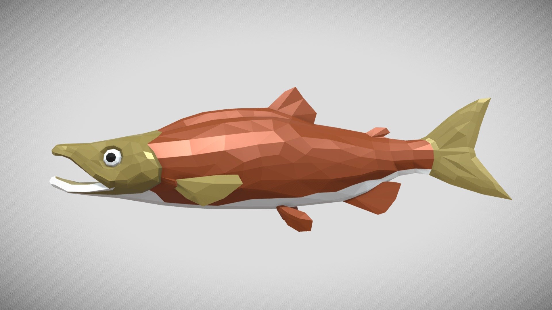 [Low Poly] Salmon - Buy Royalty Free 3D model by Jiffycrew [7301b74 ...