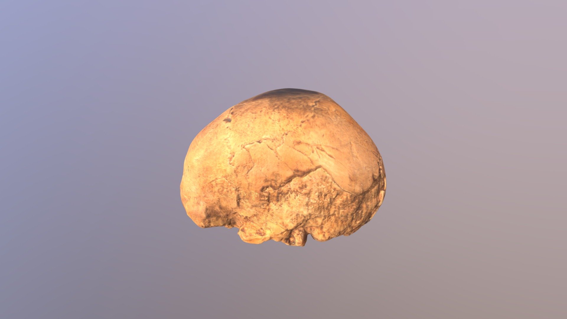 "Unknown 17" - Download Free 3D model by digitalkenyon [73056ba ...