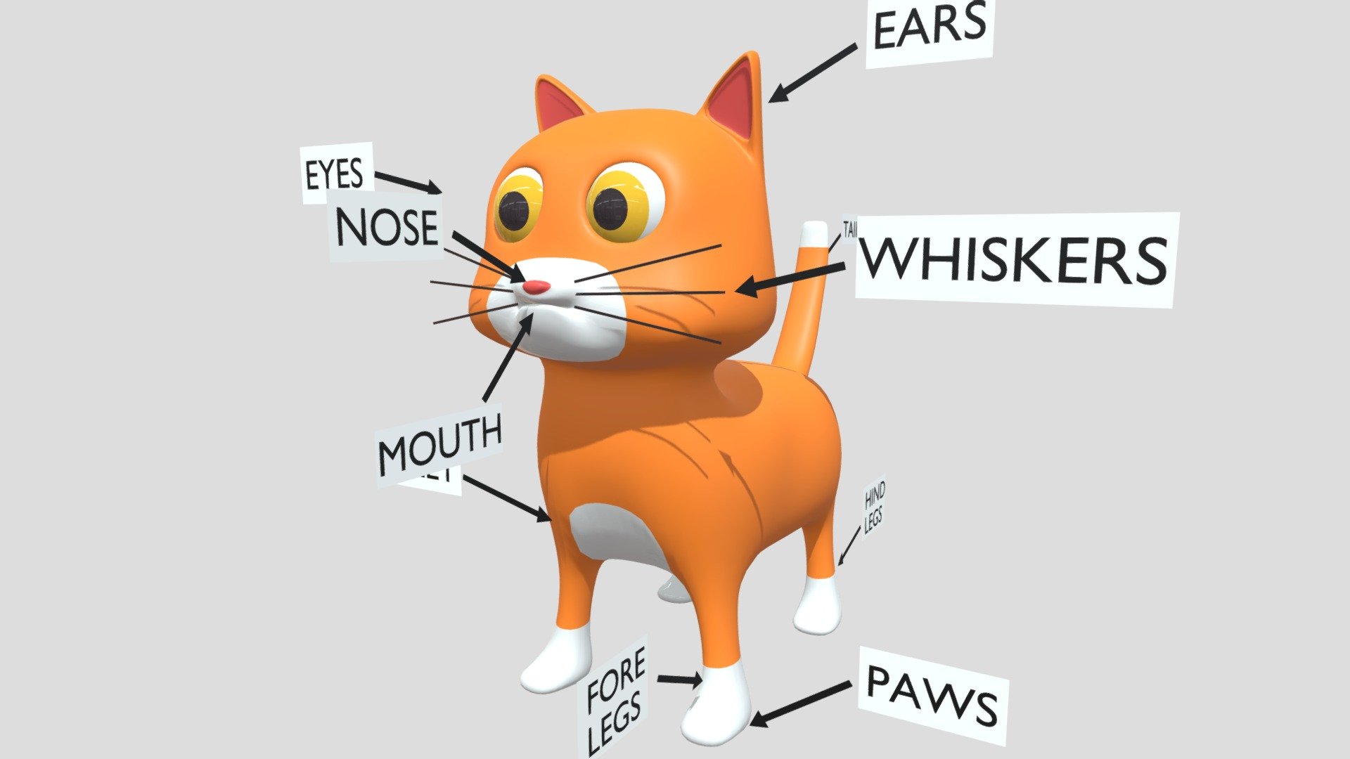 Oyen Cat - 3D model by Faiqalx1103 [7312400] - Sketchfab