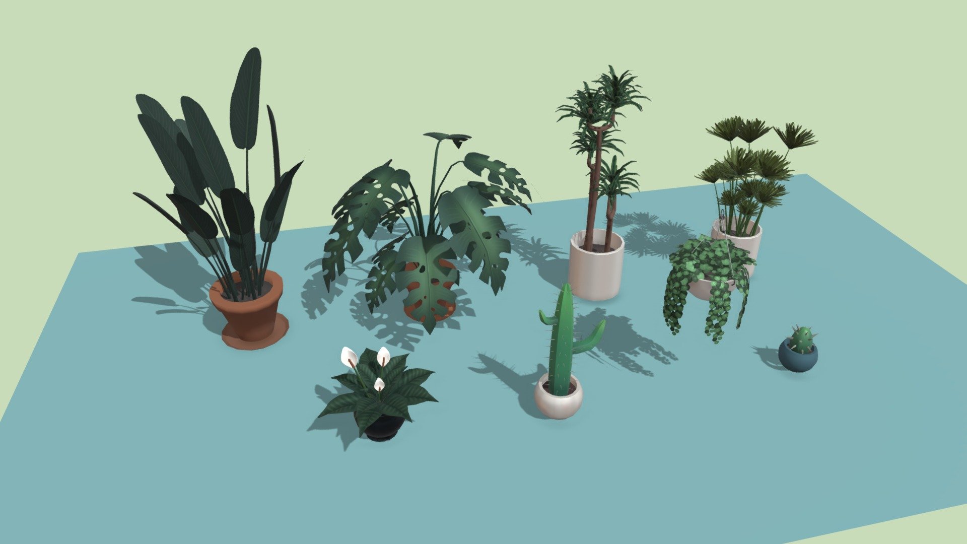 Simple Indoor plants - Buy Royalty Free 3D model by Hephep [731673b ...