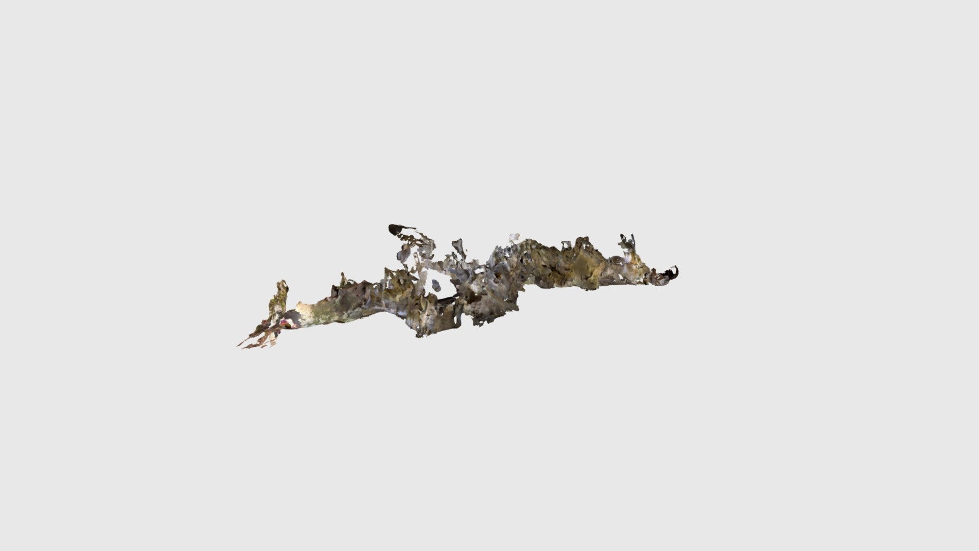 Akerretamalloko kobea - Download Free 3D model by ifsukia [7317f97 ...
