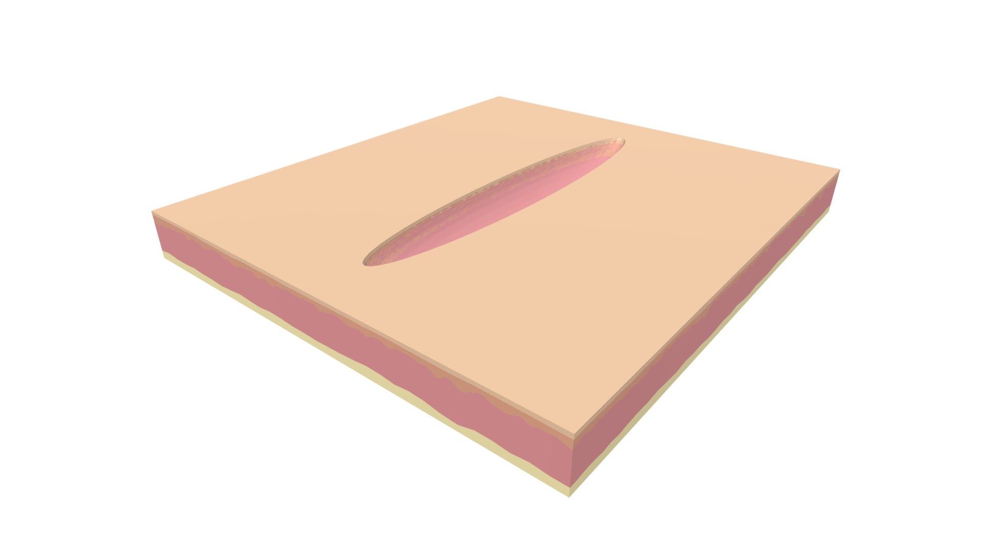 Suture Pad - Download Free 3D model by elena.aagaard02 [731e3b6 ...