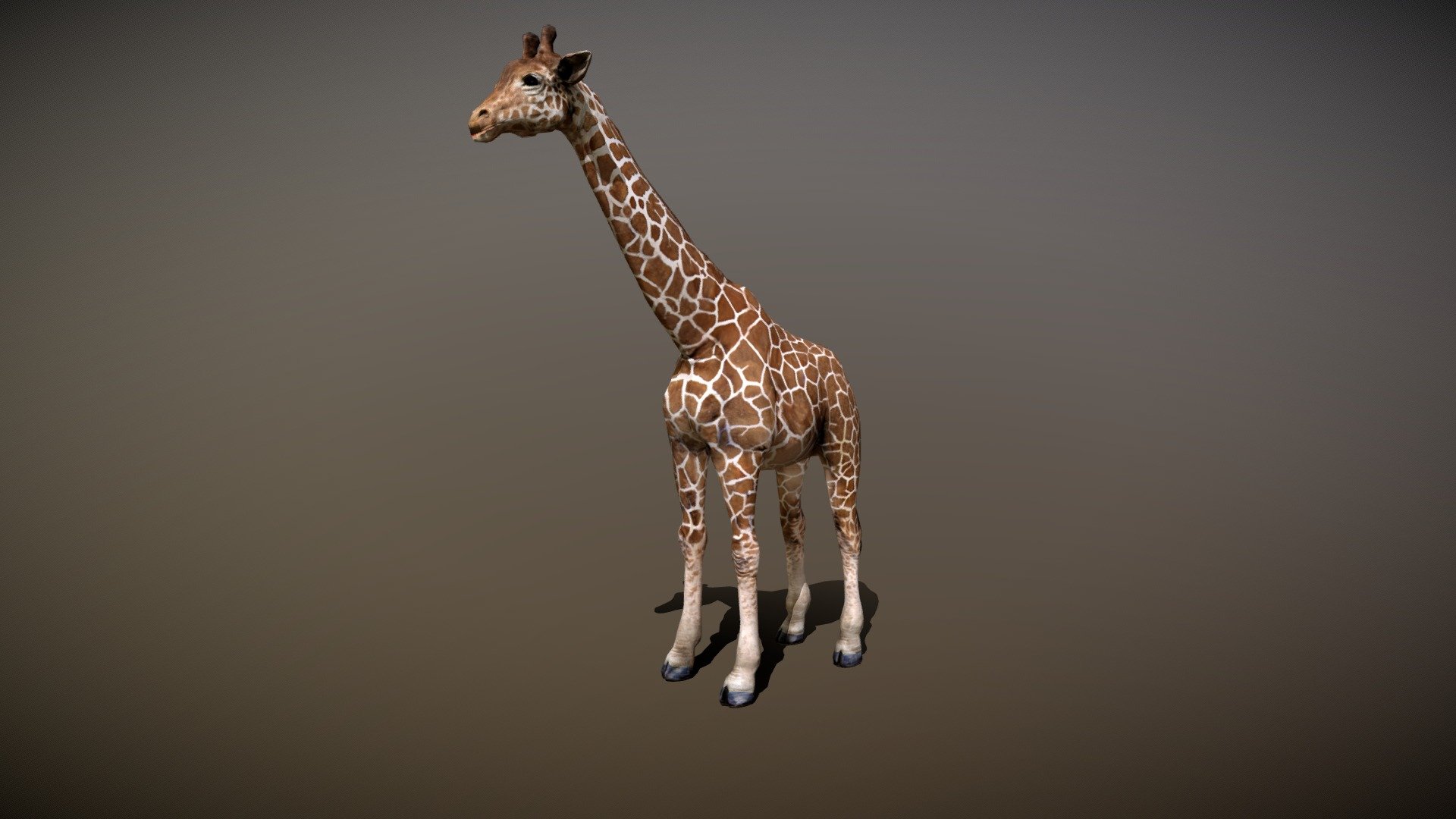 Giraffe with Animation - Buy Royalty Free 3D model by Bilal Creation ...