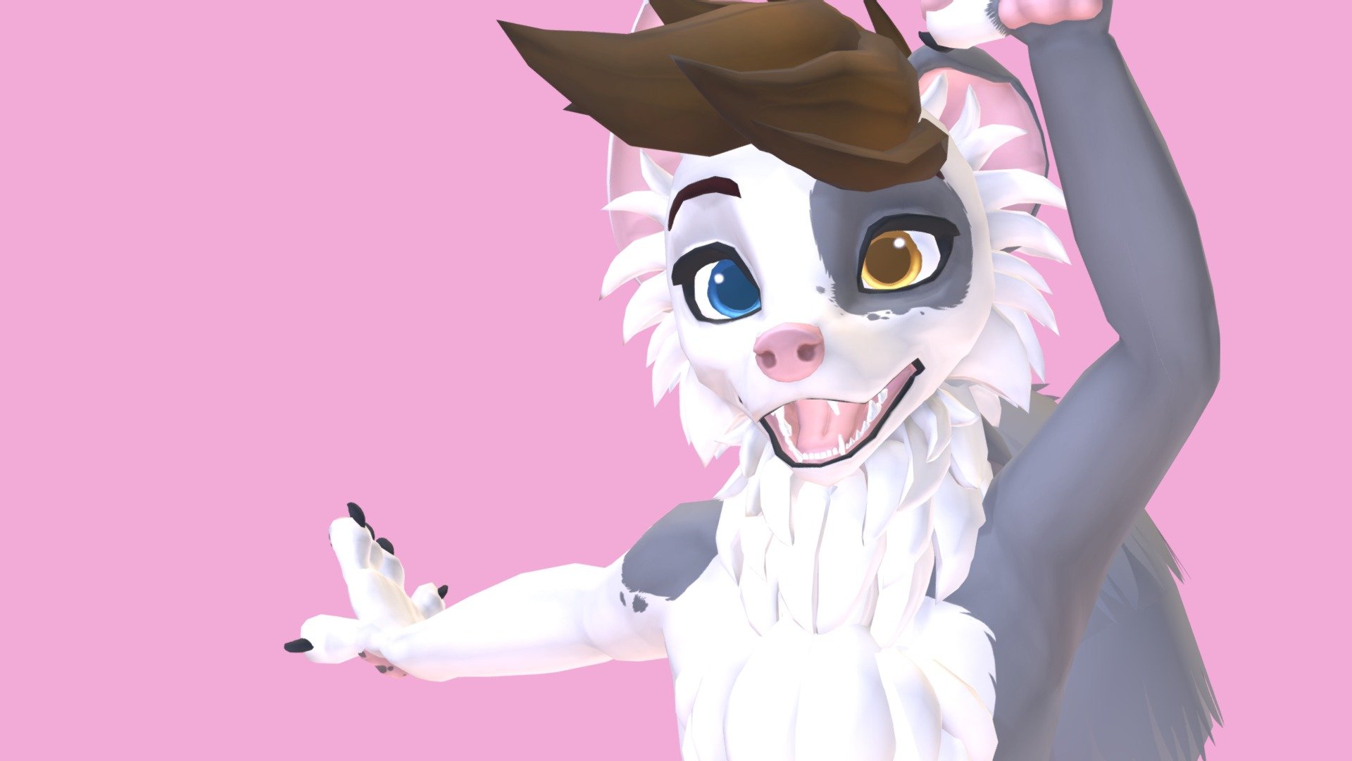 Jasper Collie Vrchat Avatar 3d Model By Nyxumnightshade 7324ffe Sketchfab