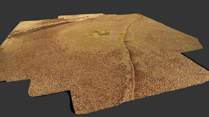 Stone_circle 3D models - Sketchfab