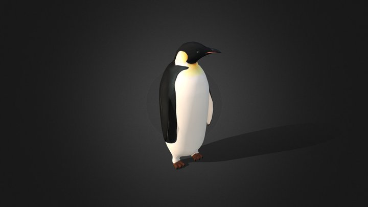 Emperor-penguin 3D models - Sketchfab