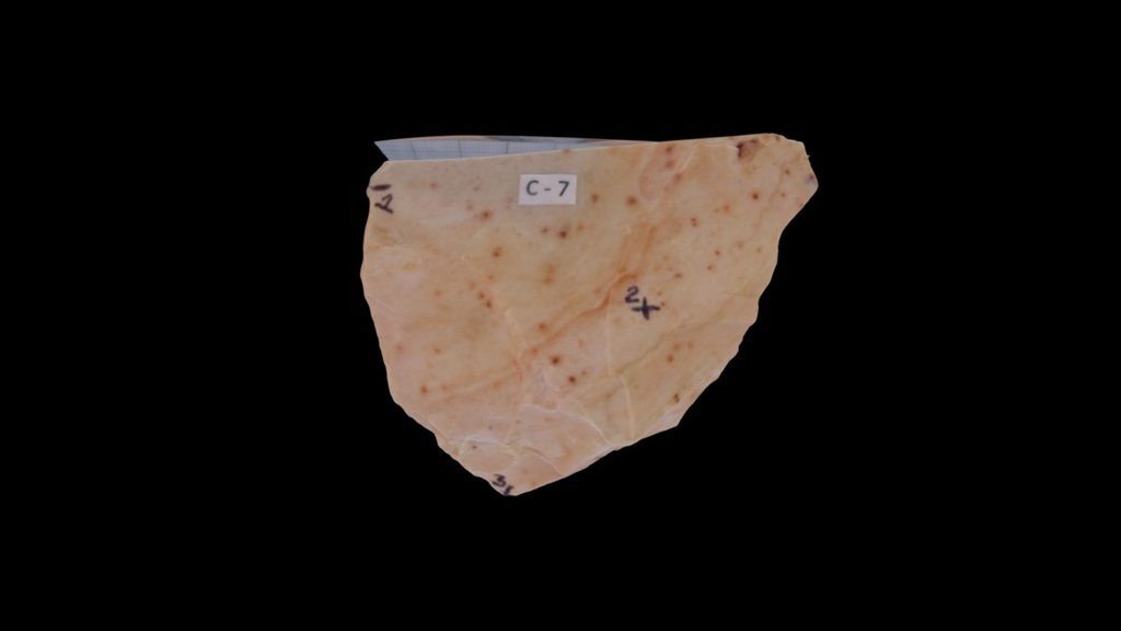 C-7 (Refined Setup) - 3D model by unlarchaeology [732a824] - Sketchfab