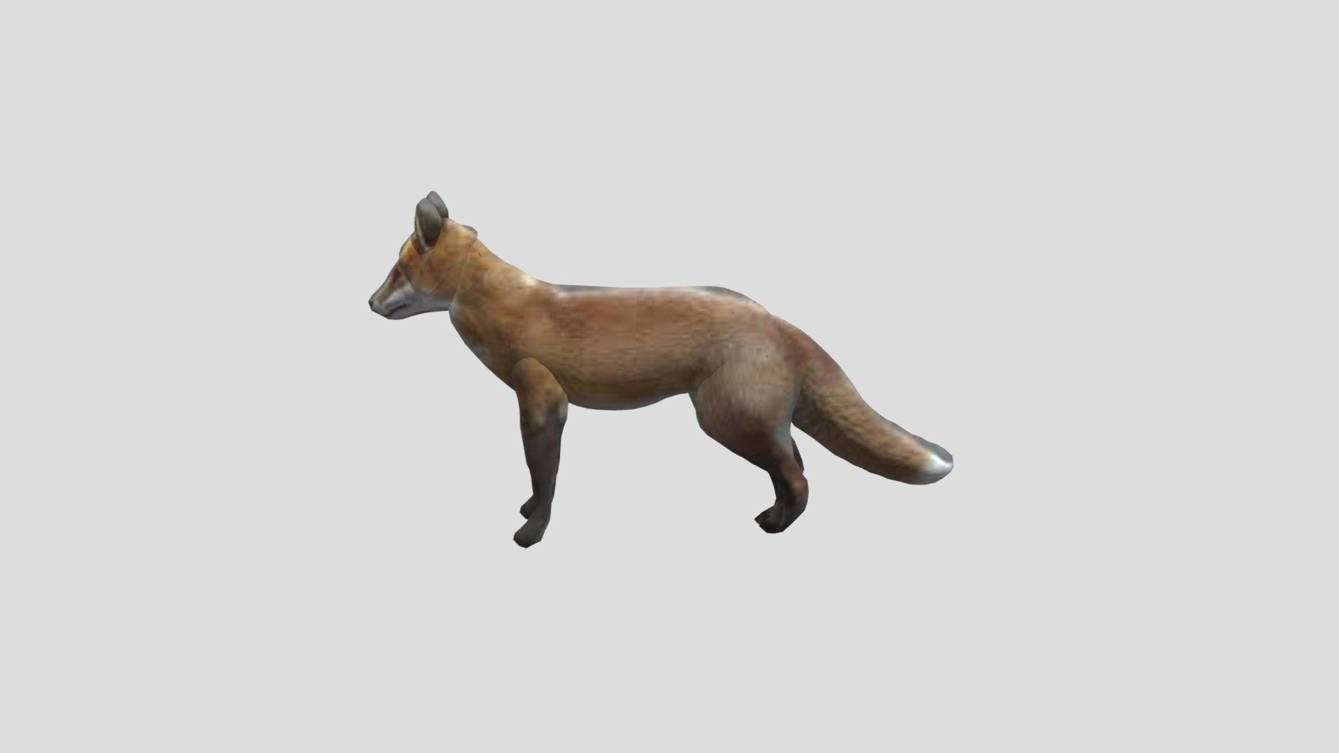 FOX - 3D model by Joyce-Li [732c0e1] - Sketchfab
