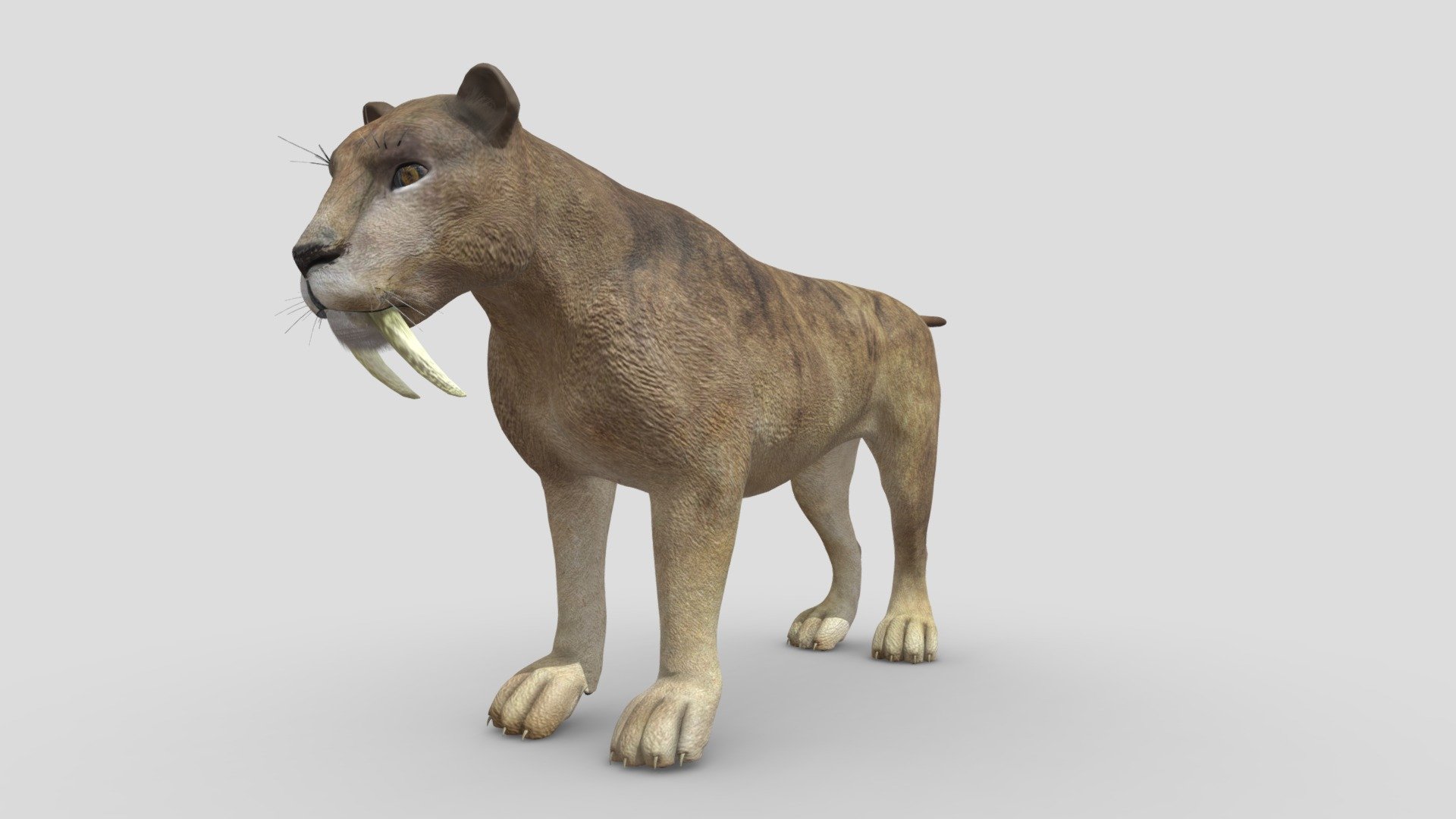 Sabertooth - 3D model by 1225659838@qq.com (@Novaky) [7331165] - Sketchfab