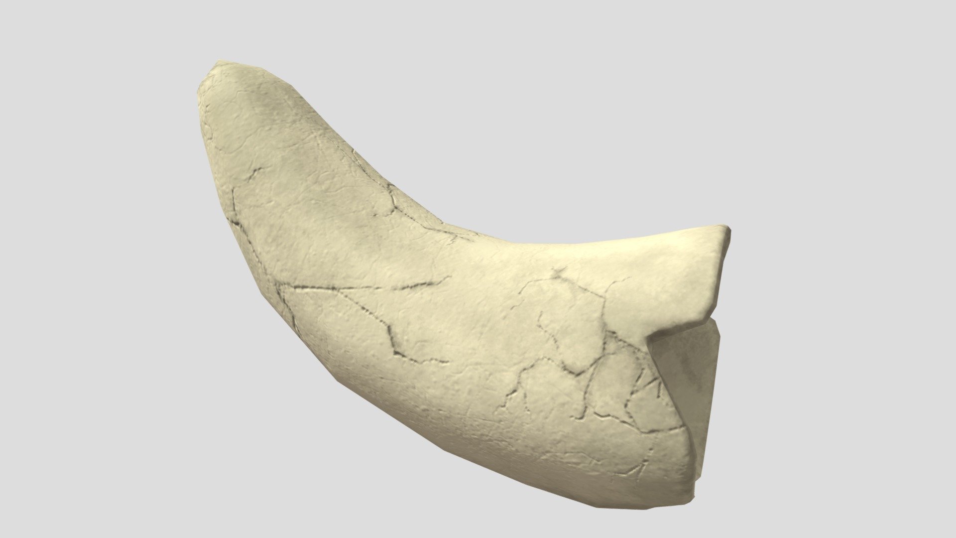 Alligator Tooth - Download Free 3D model by hansjehansjehansje [73387b0 ...