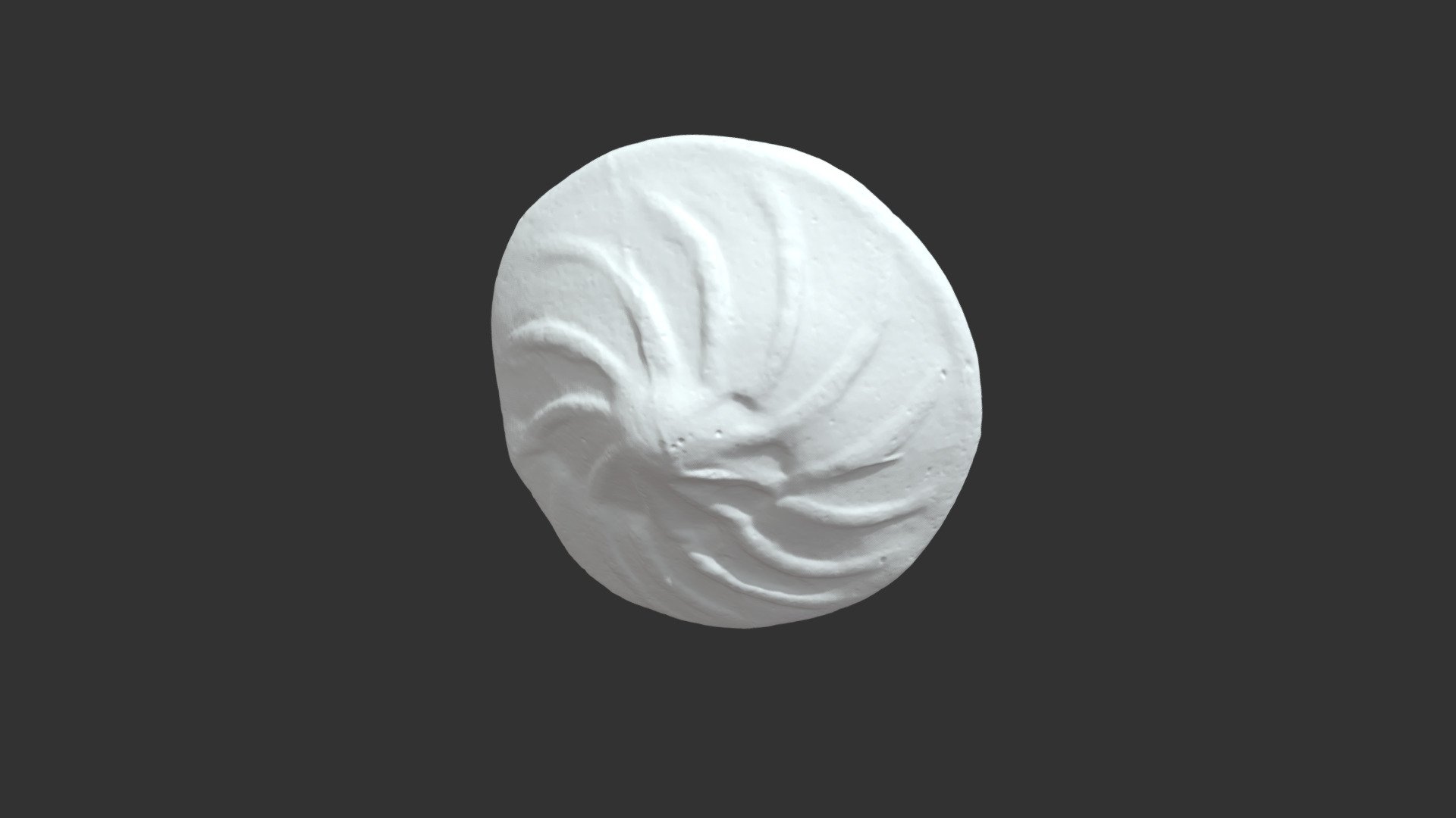 Nummulina discoidalis (206457) - 3D model by Photo3D (@vect3d) [73392f3 ...