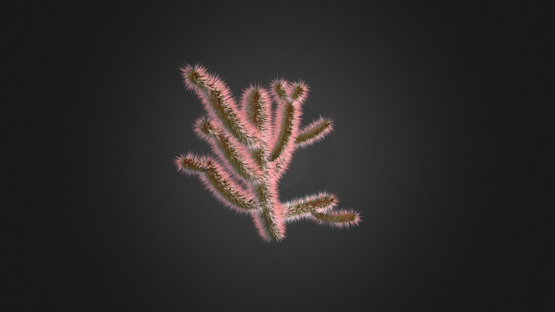 Cholla Cactus - Buy Royalty Free 3D model by cgaxis [733ff14 ...
