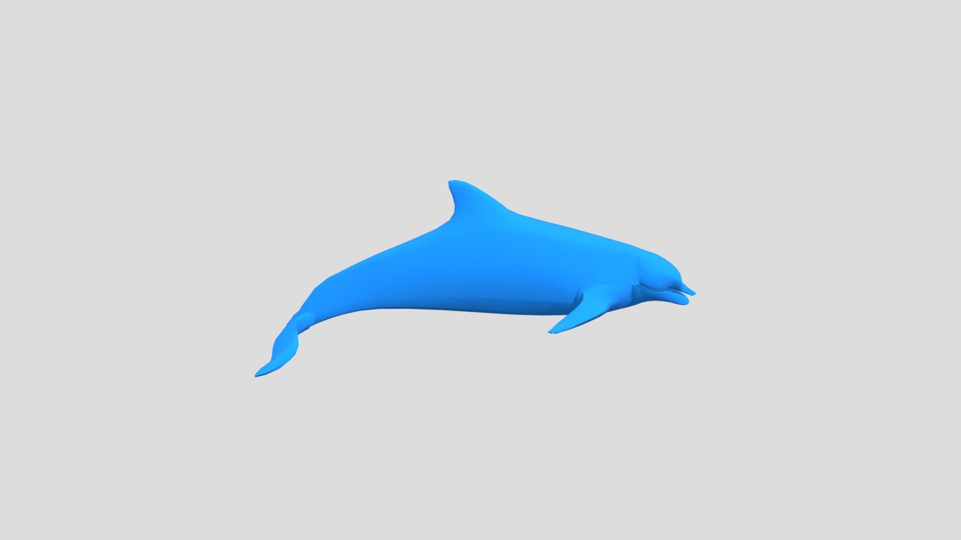 Dolphin - Download Free 3D model by a108520395 [734528a] - Sketchfab