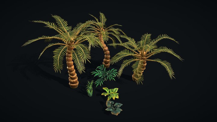 Palm 3D models - Sketchfab